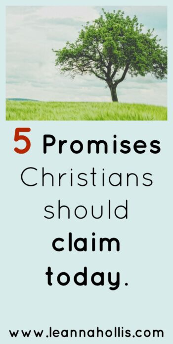 When the Lion Roars: Five Promises Christians Can Claim – Leanna Hollis