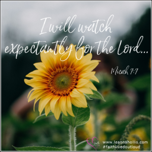 Today's Encouragement